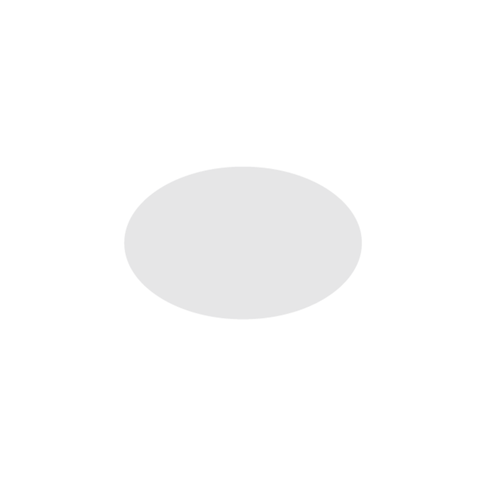 NIIMBOT - M2 / M3 - 30X20MM - 345 SILVER LASER HOLOGRAPHIC OVAL LABELS ...
