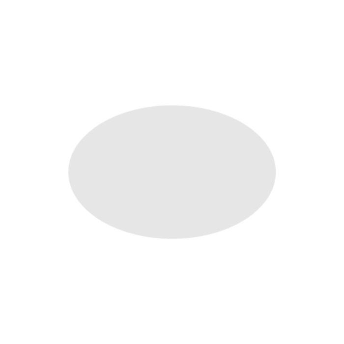 NIIMBOT - M2 / M3 - 30X20MM - 345 SILVER OVAL LASER LABELS – NIIMBOT.CO.ZA